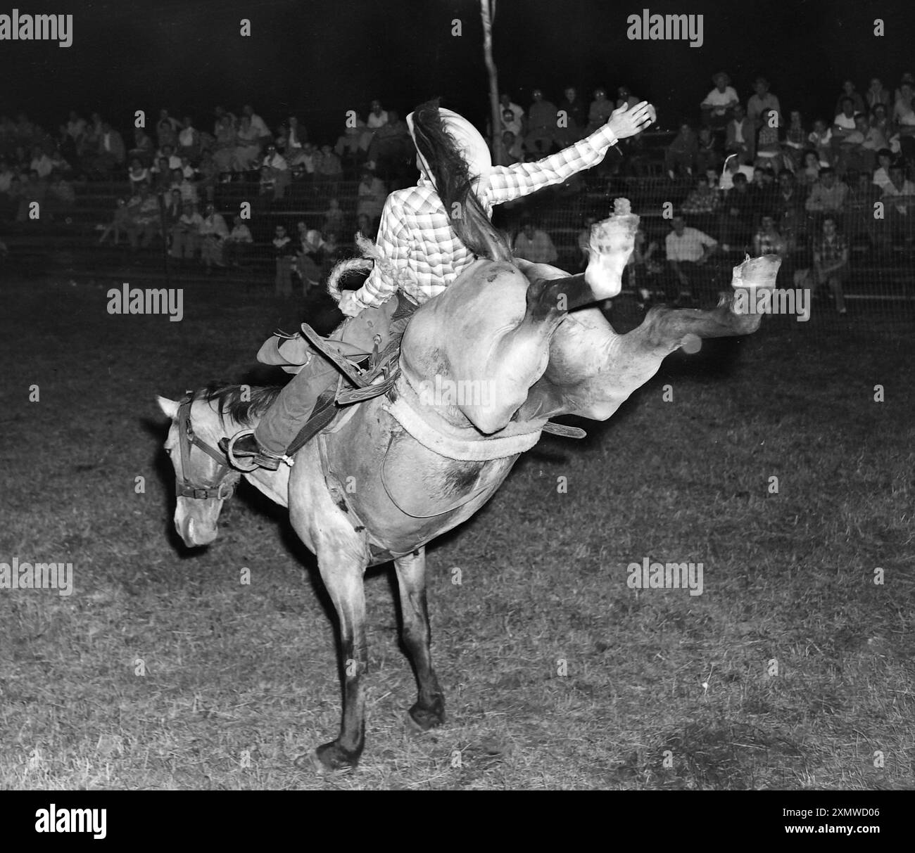 Cowboy on bucking horse hi-res stock photography and images - Alamy