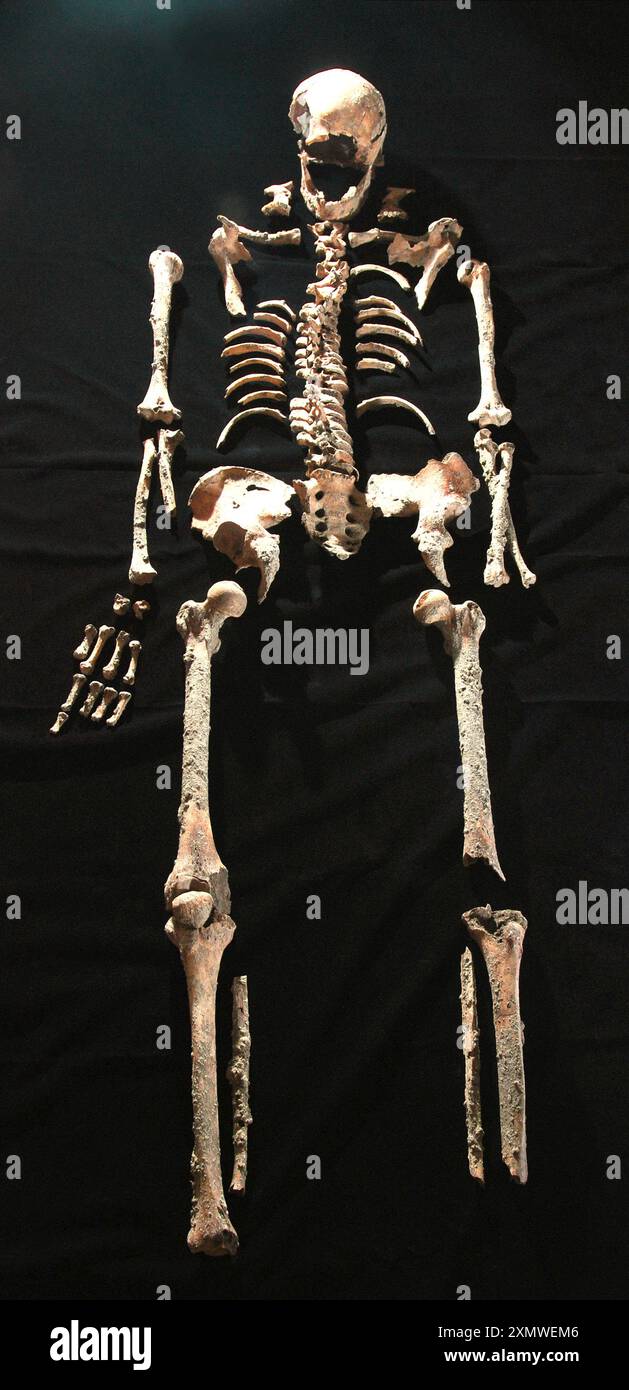 Protohistoric human hi-res stock photography and images - Alamy