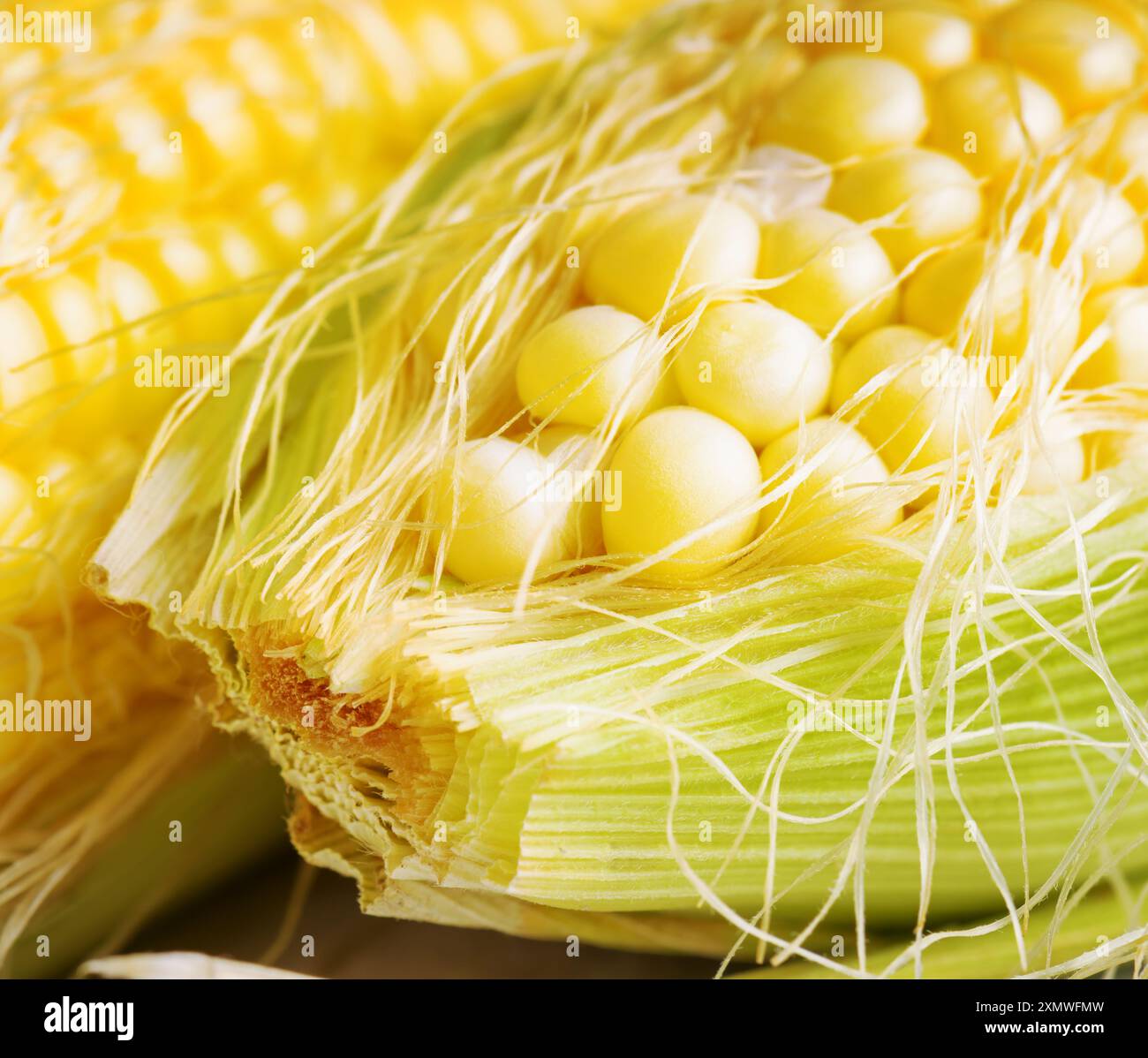 Two corn hi-res stock photography and images - Alamy