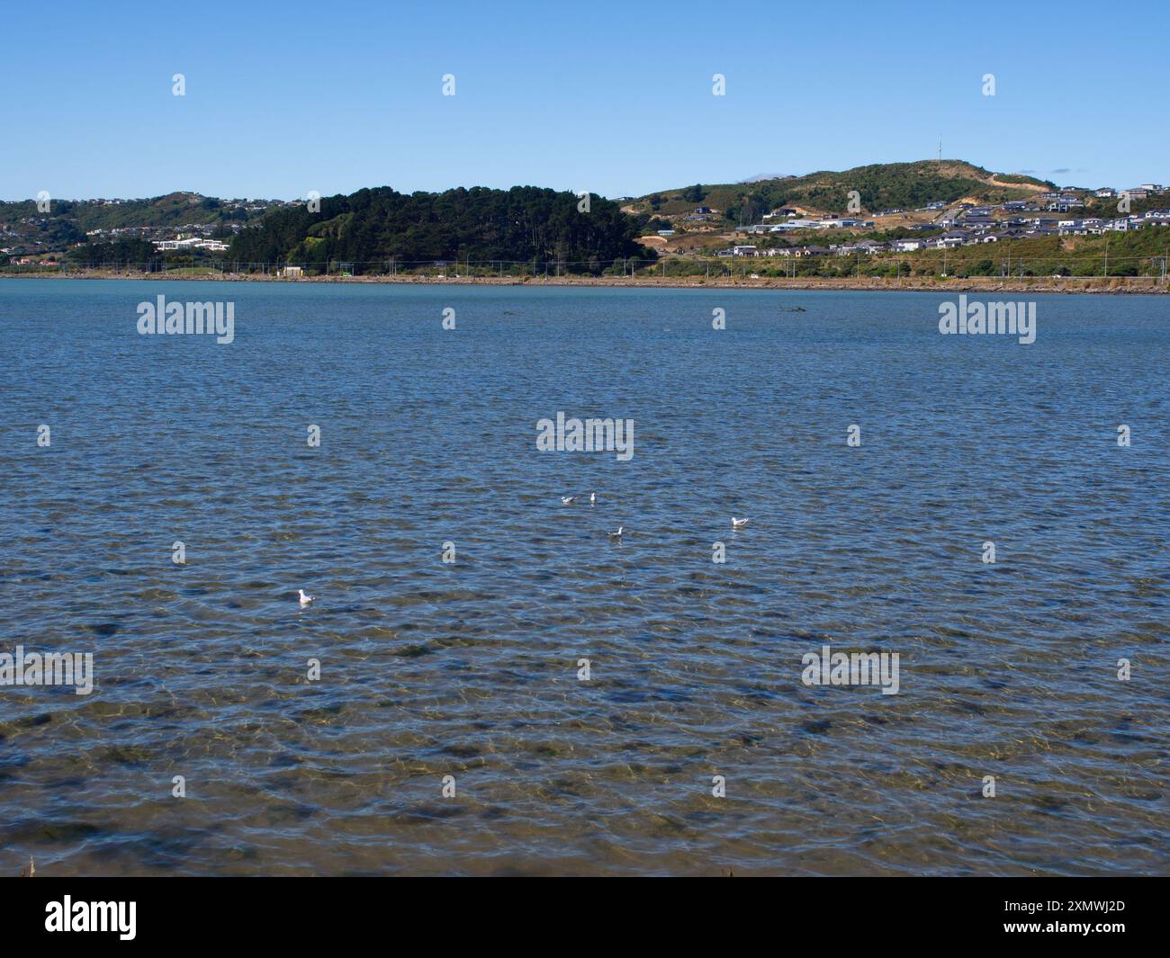 Porirua Harbour New Zealand Stock Photo - Alamy