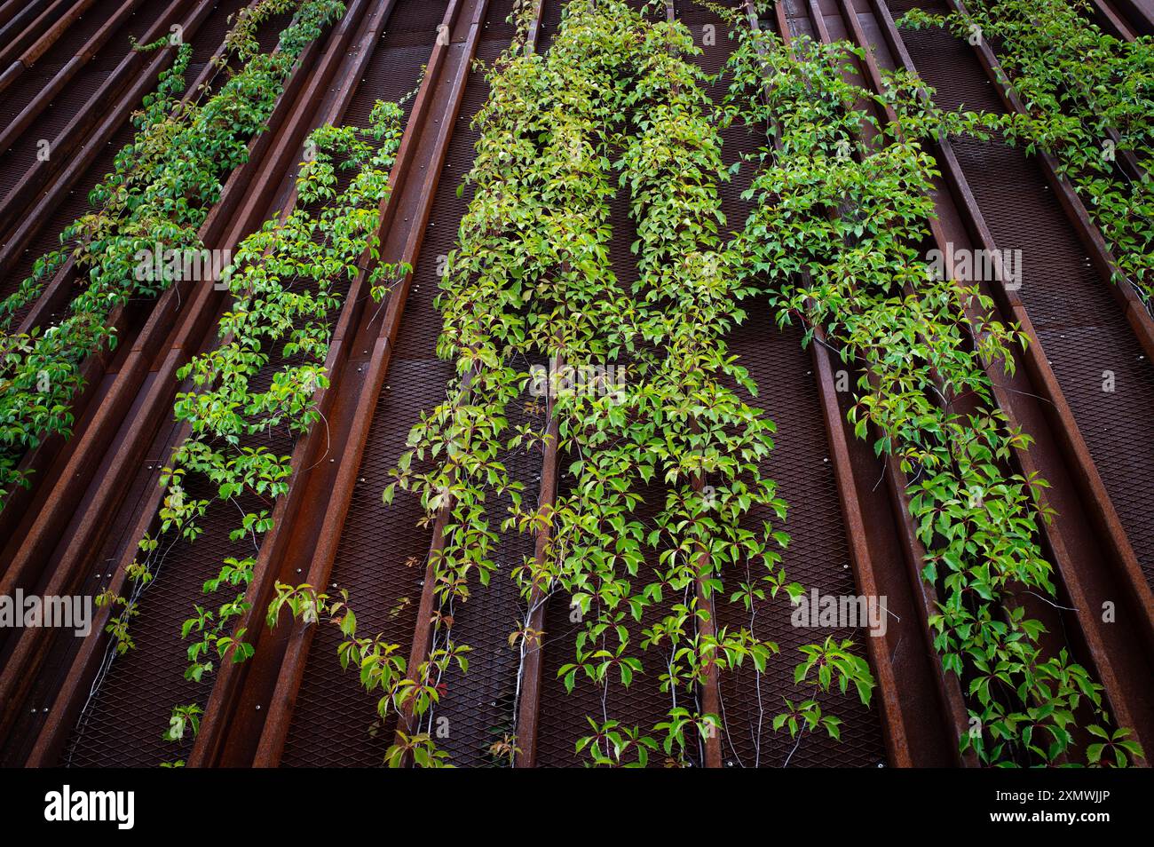 World Environment Day. World Climate Change Day. Clean Air Day. Green ...