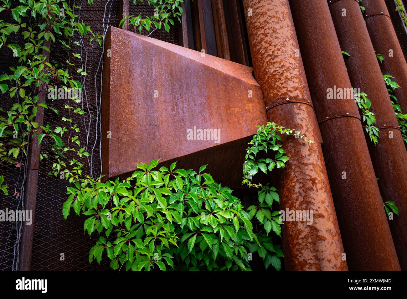 World Environment Day. World Climate Change Day. Clean Air Day. Green ...