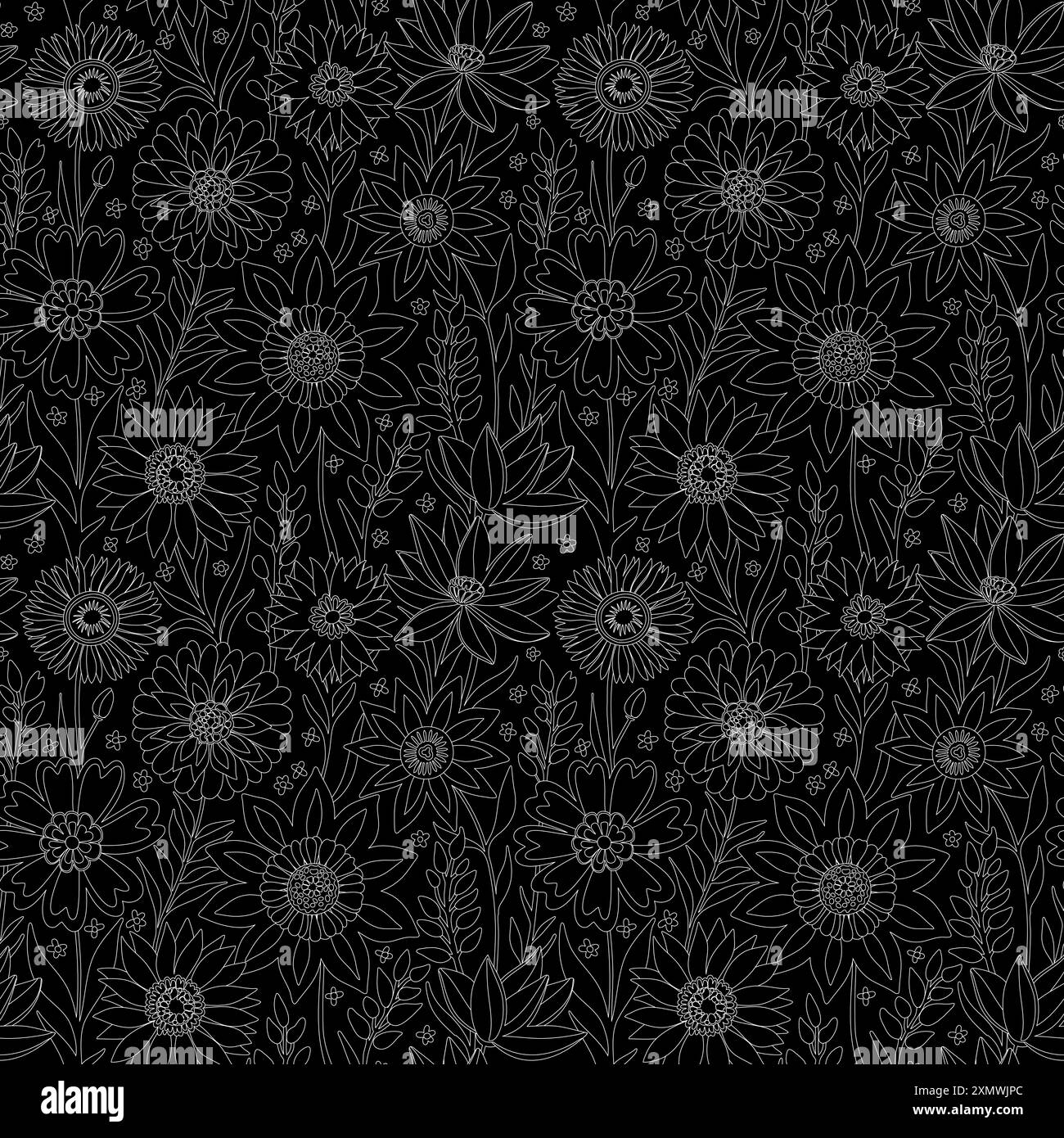 Black contour pattern hi-res stock photography and images - Alamy