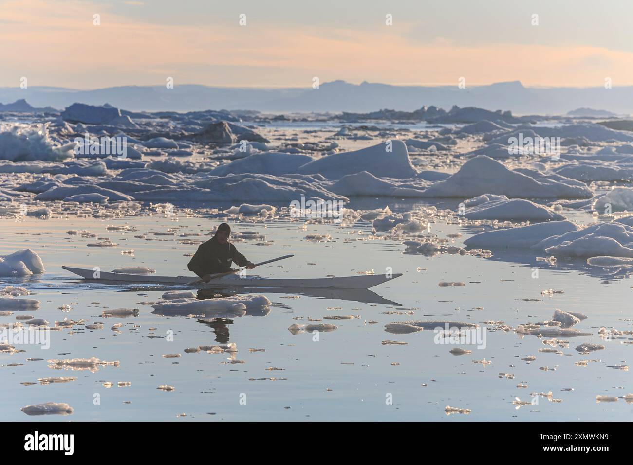 Kayakers, man, adult, kayaking through fjord with icebergs, midnight ...