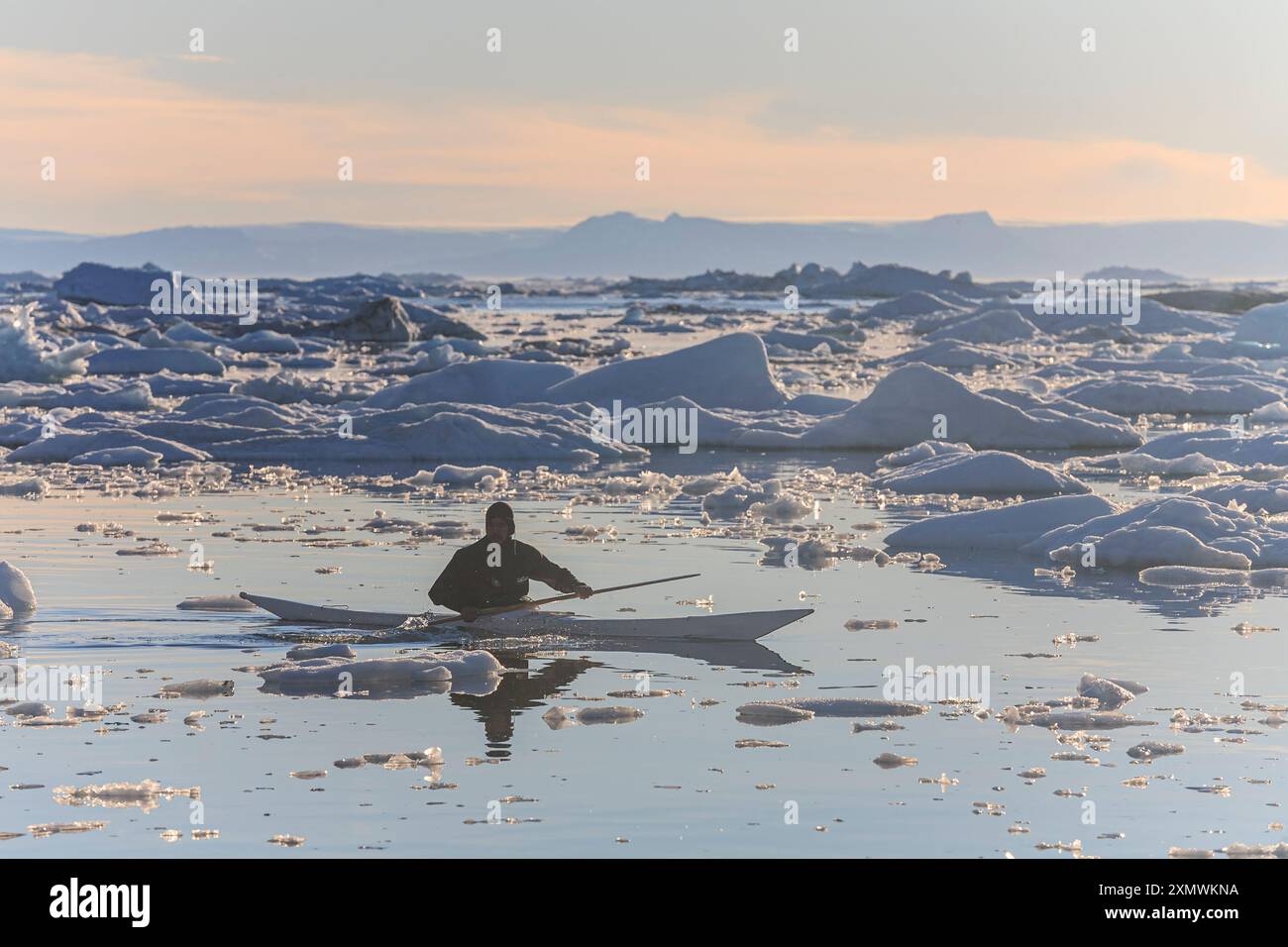 Kayakers, man, adult, kayaking through fjord with icebergs, midnight ...
