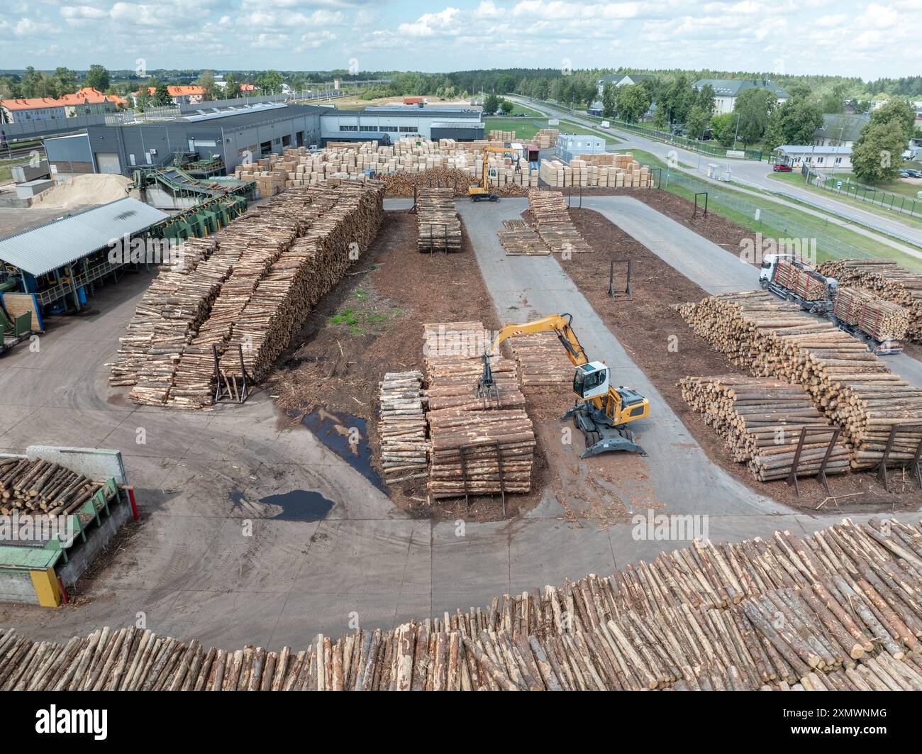 Wood sawmill, machinery for processing wood. Processing plant. A worker ...