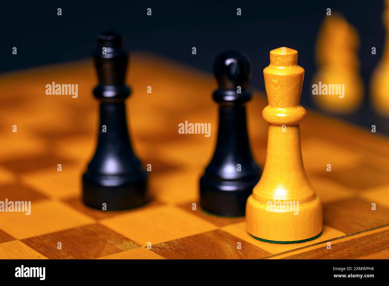 Schach spieler hi-res stock photography and images - Alamy
