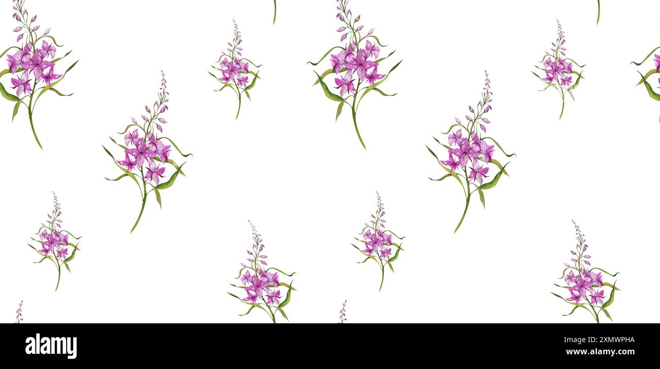 Seamless Pattern. Fireweed Flowers. Blooming Sally. Set. Watercolor ...