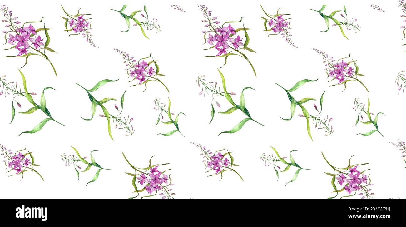 Seamless Pattern. Fireweed Flowers. Blooming Sally. Set. Watercolor ...
