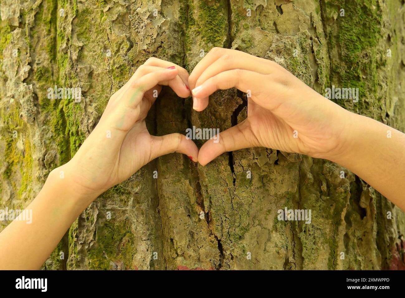 NSS (National Service Scheme) volunteers and school students of Netaji ...