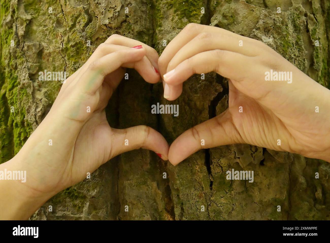 NSS (National Service Scheme) volunteers and school students of Netaji ...