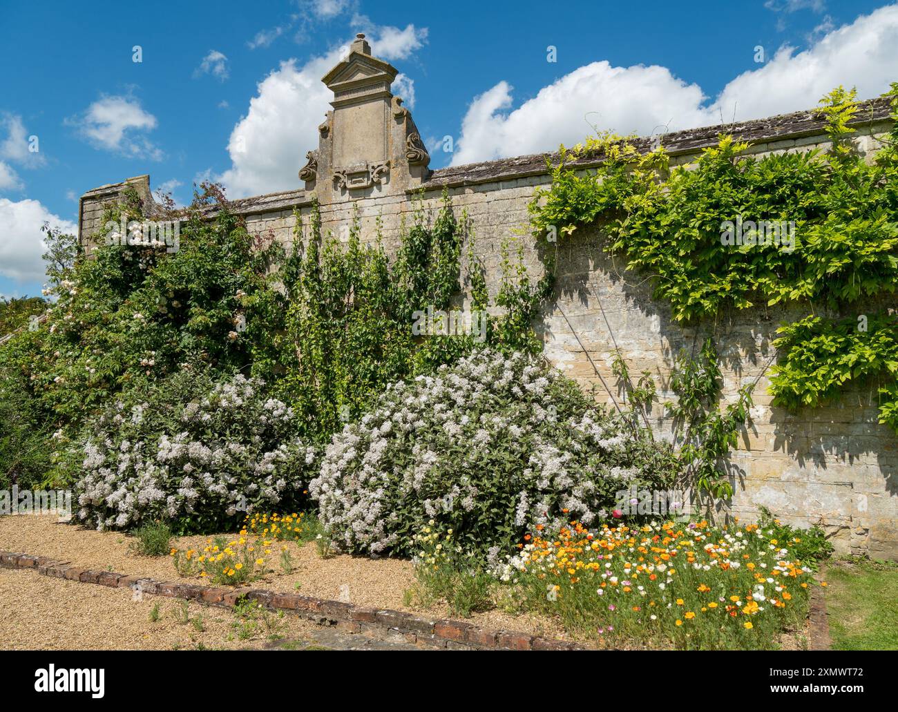 Old dressed stone garden wall and border with climbing plants, Easton ...