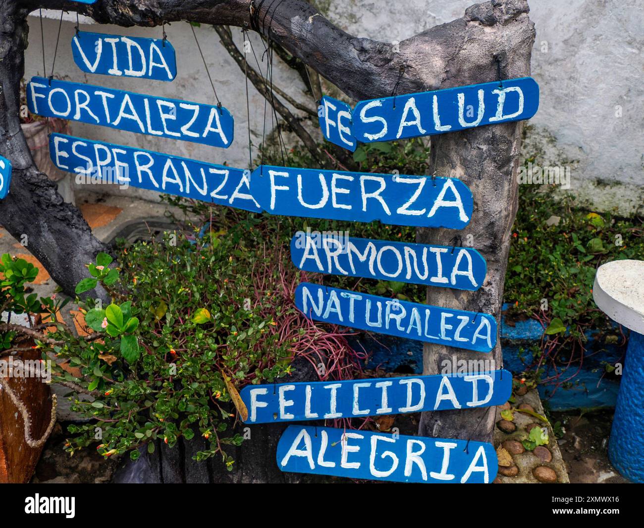 vida (life) and others signs in doradal colombian santorini pictoresque ...