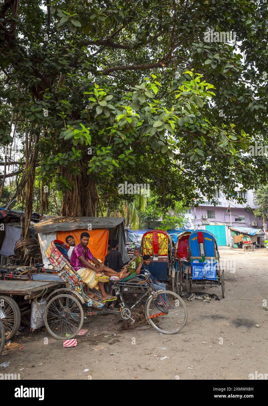 Waiting under a tree hi-res stock photography and images - Alamy
