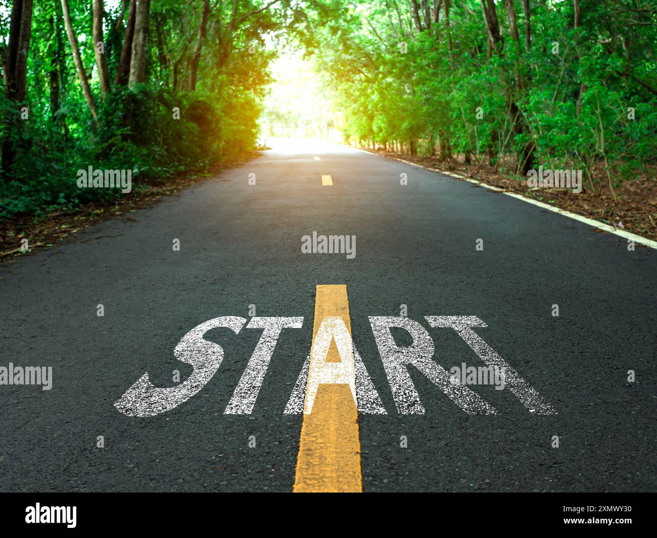 Starting line on asphalt road, Business startup idea, Copy space ...