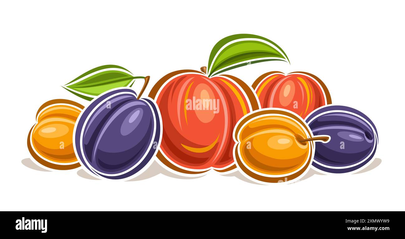 Vector Fruit Logo, decorative horizontal poster with outline ...