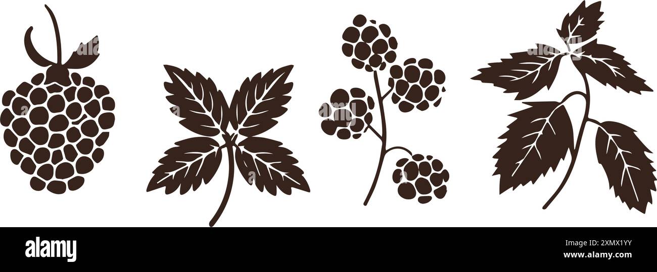 Silhouette Raspberry Leaves Branches vector Stock Vector Image & Art ...