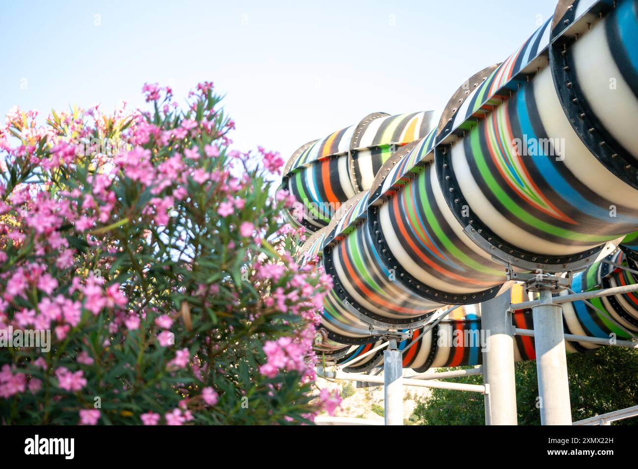 Water Slide Park Flowers Summer Colorful Water Slide at a Water Park ...