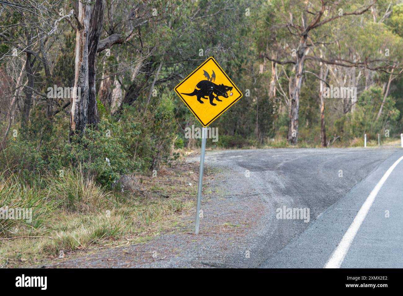 Tasmanian road safety hi-res stock photography and images - Alamy