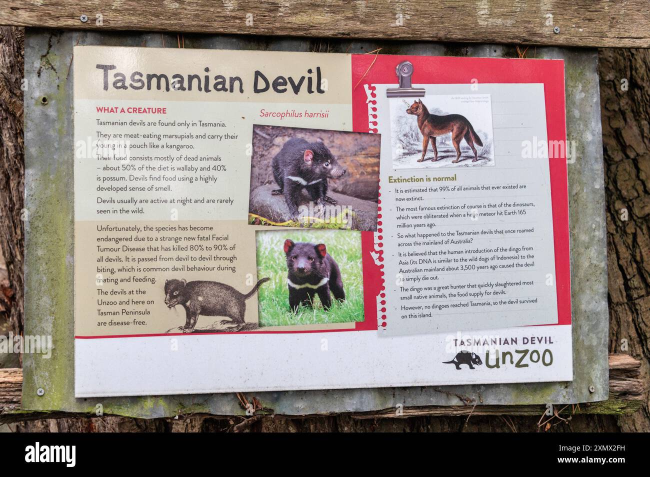 Australian unzoo hi-res stock photography and images - Alamy