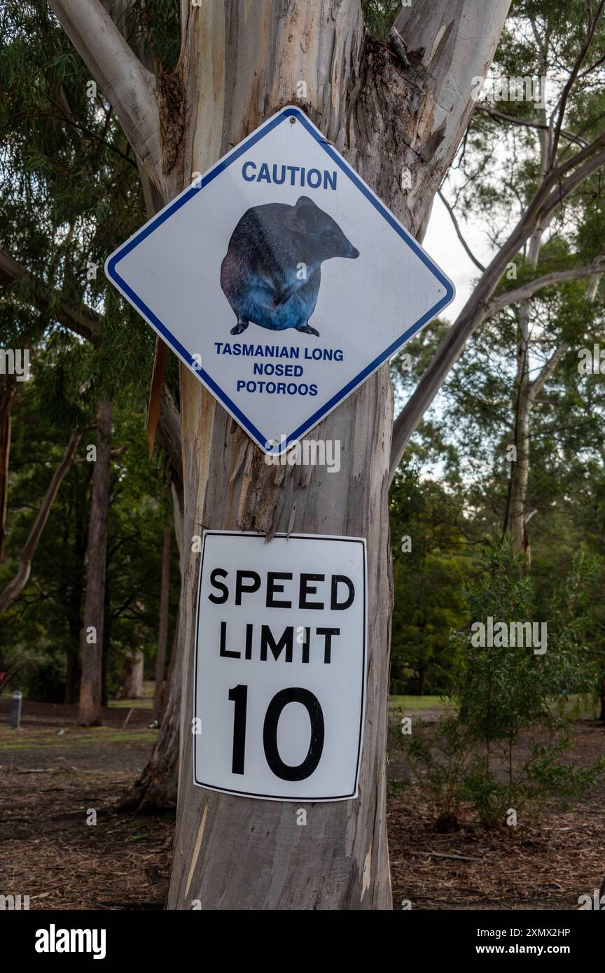 A wildlife speed warning sign of a long-nosed potoroo at a holiday ...