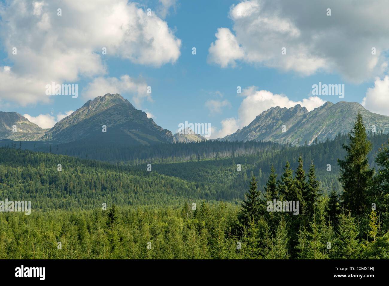 View high tatras hi-res stock photography and images - Alamy