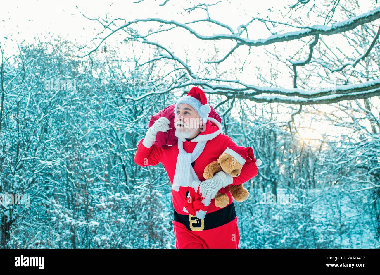 Santa Claus in red costume walk in winter forest. Santa Claus pulling ...