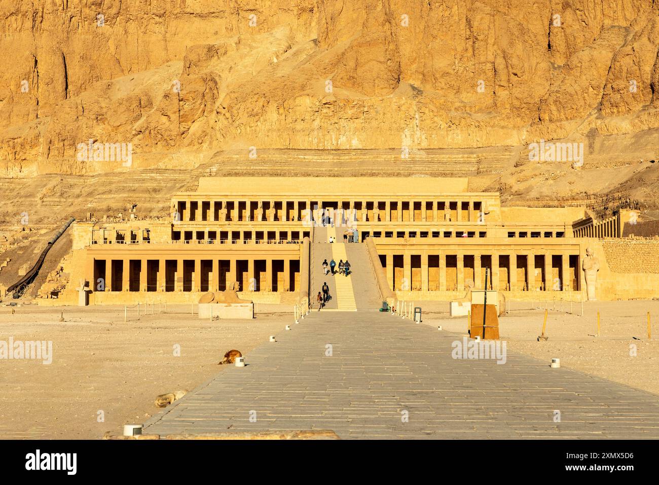 Unveil the ancient wonders of Egypt at the grand entrance of Hatshepsut's temple. This ...