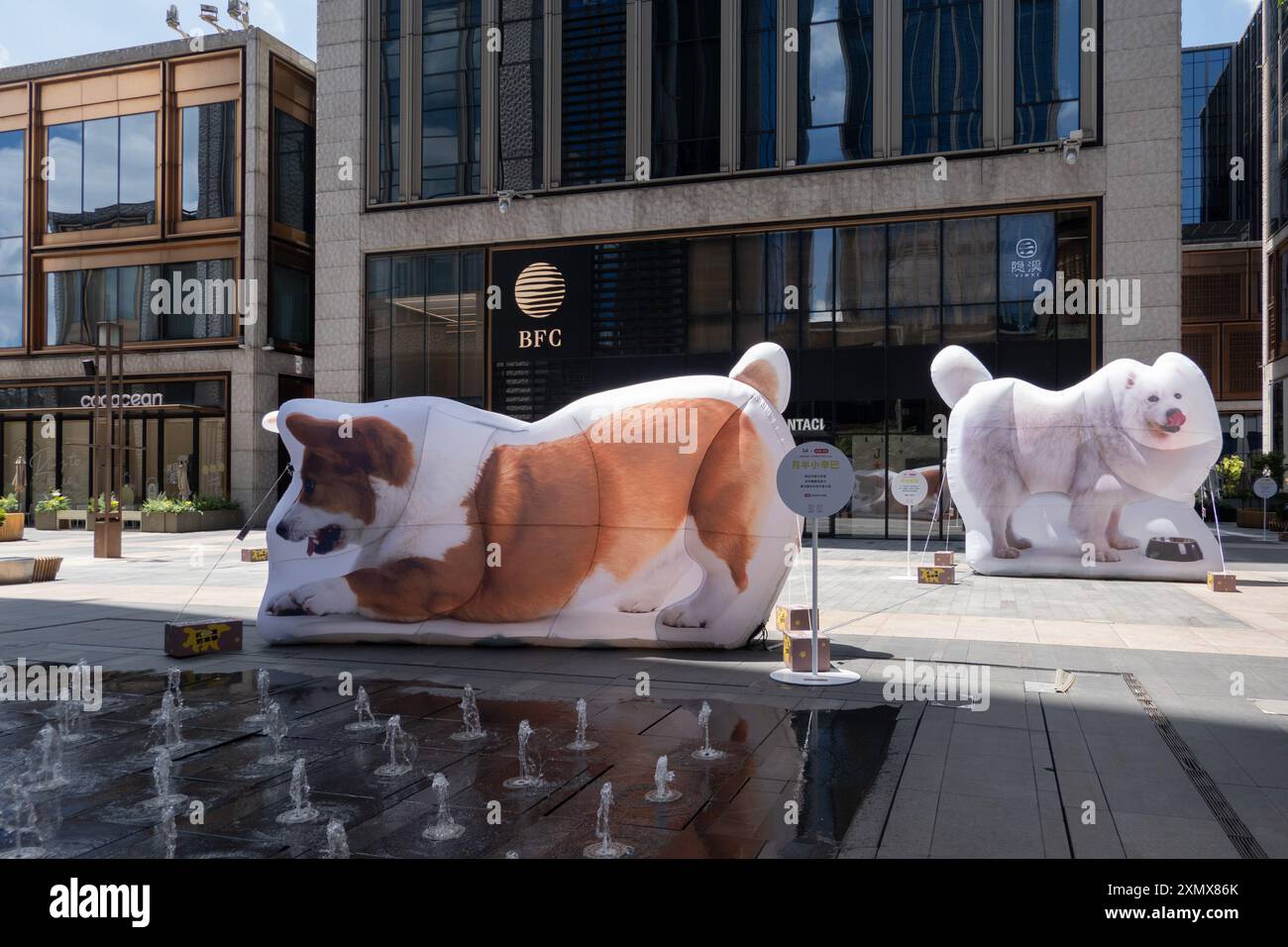 SHANGHAI, CHINA - JULY 30, 2024 - A cute image of a dog is part of an ...