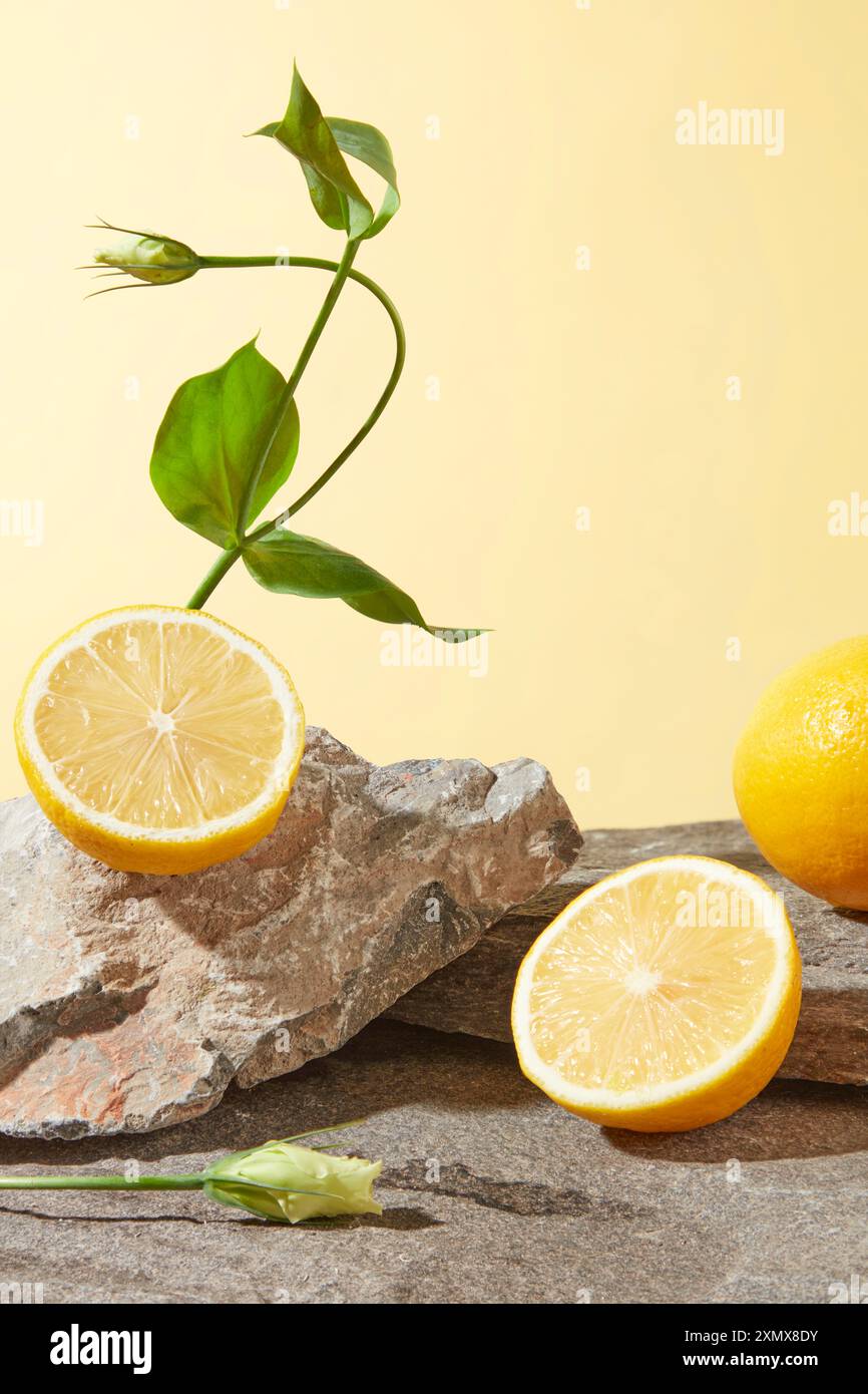 Fresh yellow lemon pieces and slices featured on the rock pedestal with ...