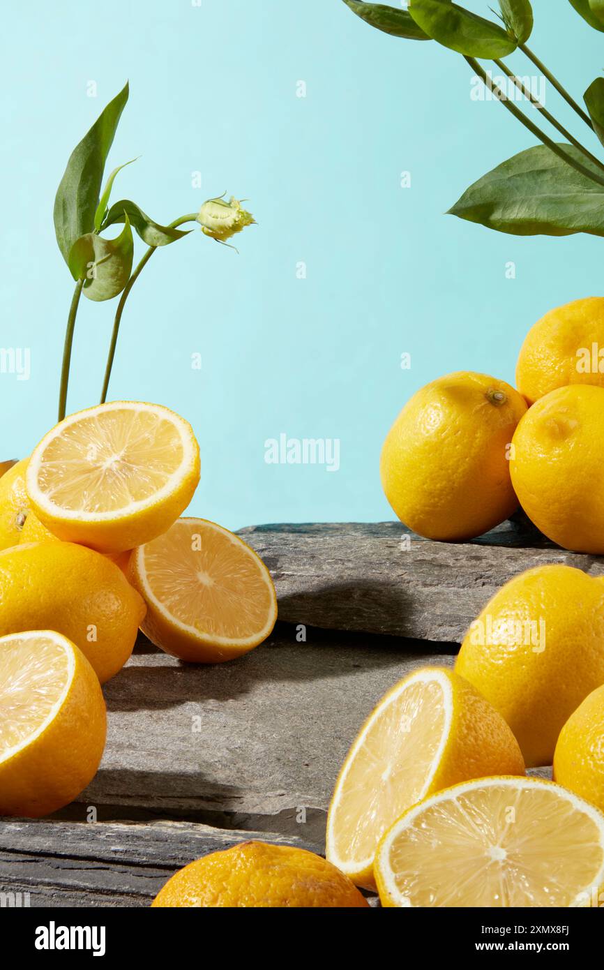 Template for designing with yellow lemon theme, lemon featured on rock ...