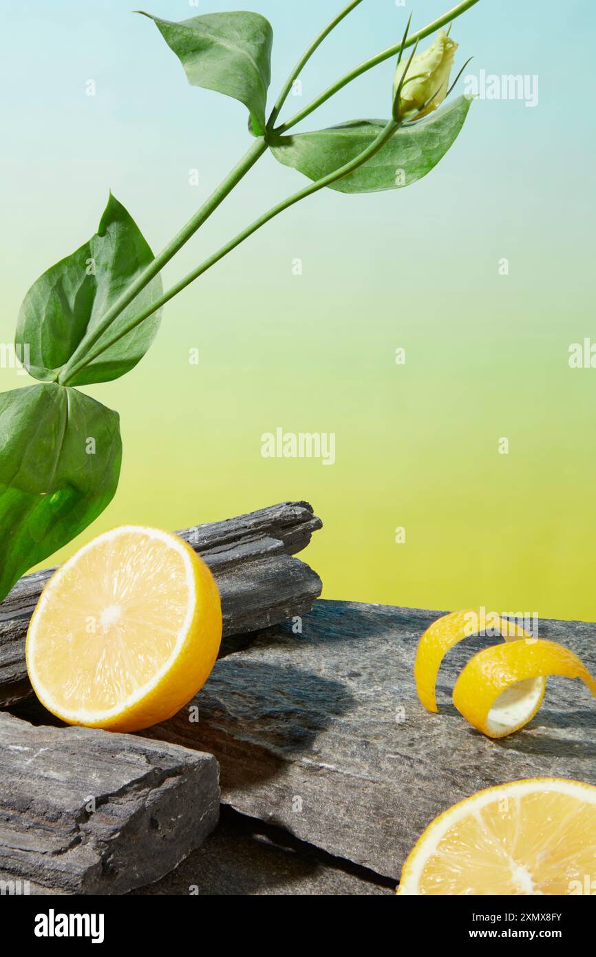 Creative photo of lemon theme on gradient effect background, an empty ...