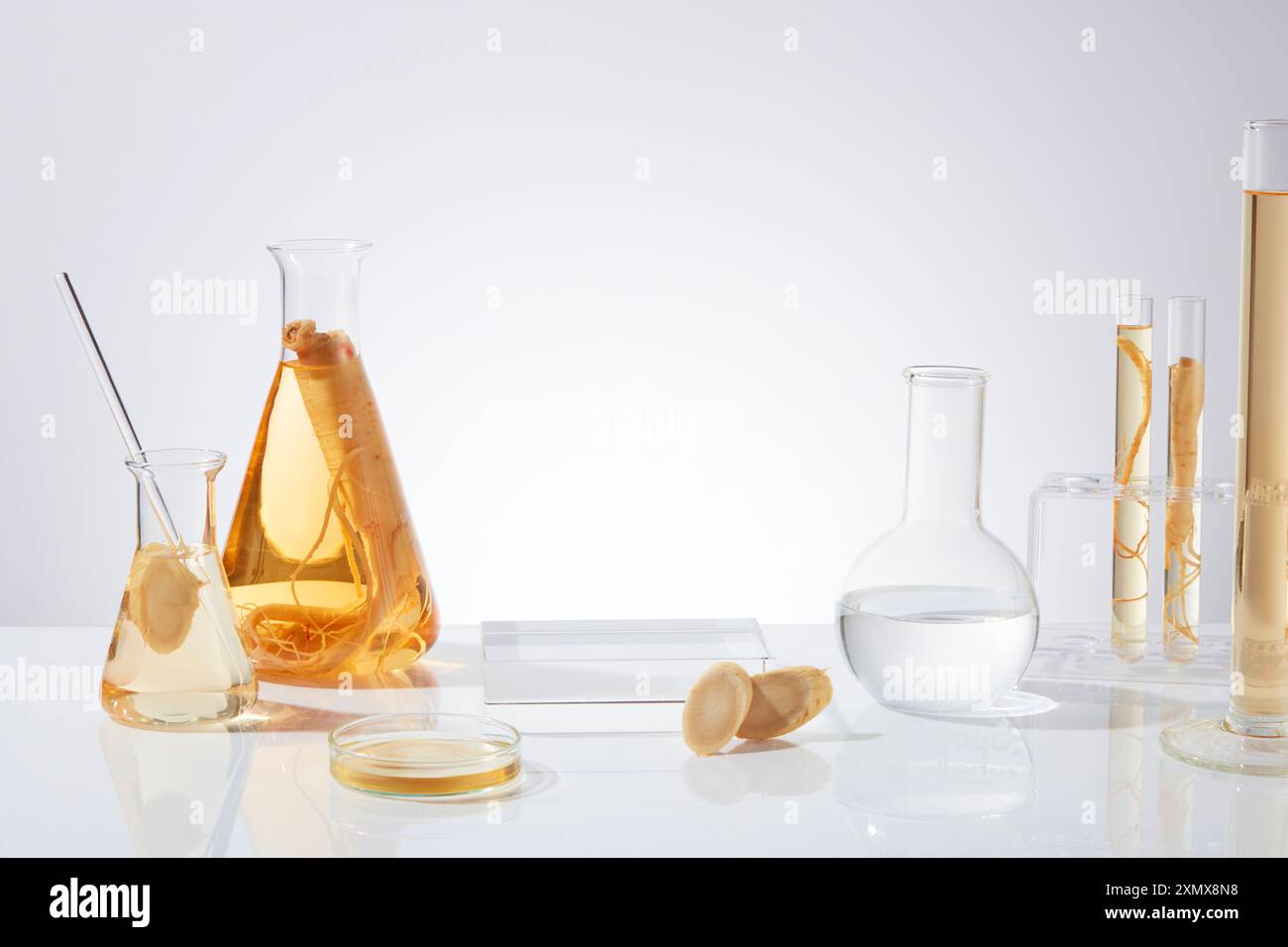 Ginseng and laboratory utensils concept photo was shot from front view ...