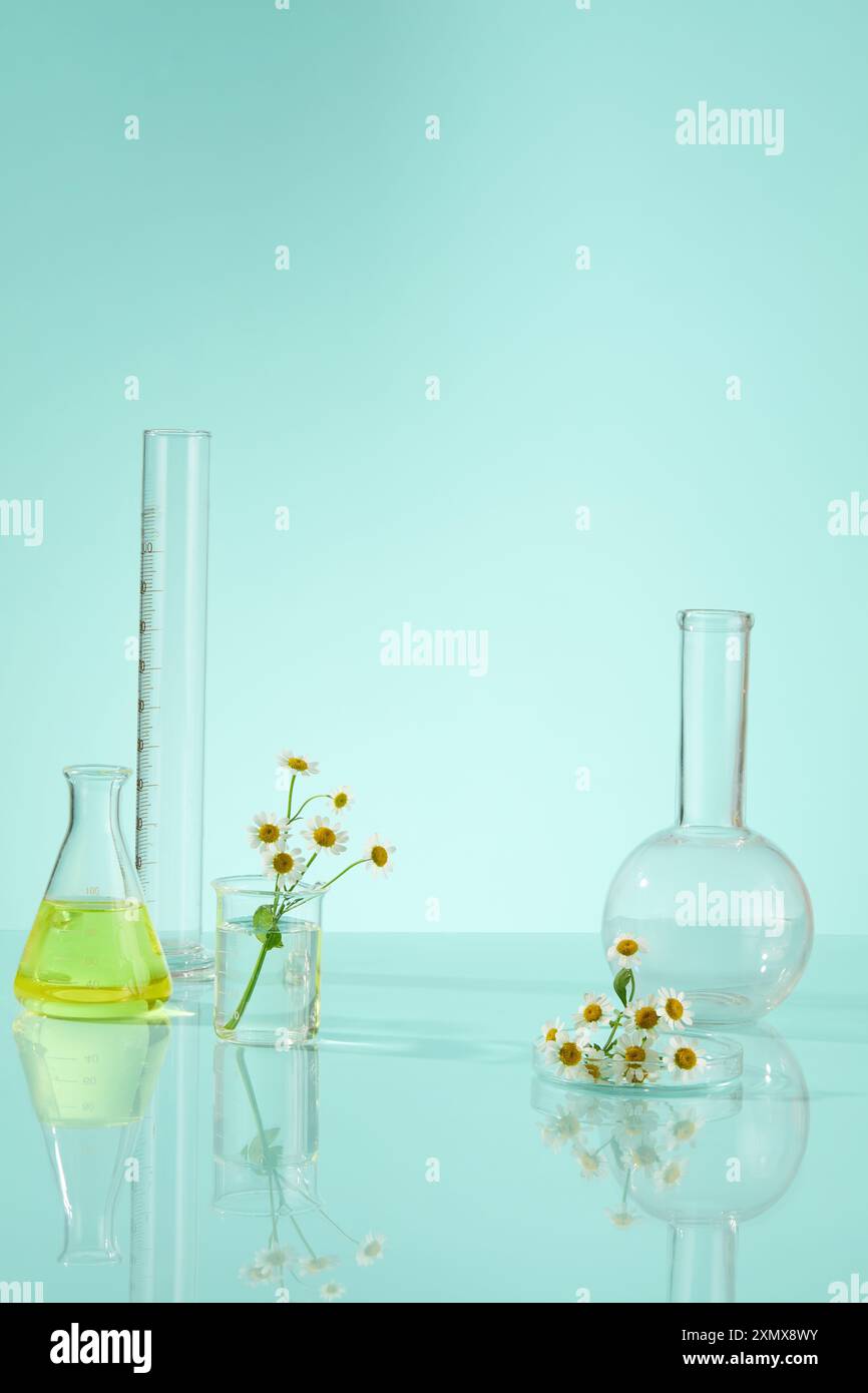 Front view of daisy experiment for cosmetic or medicine products in ...