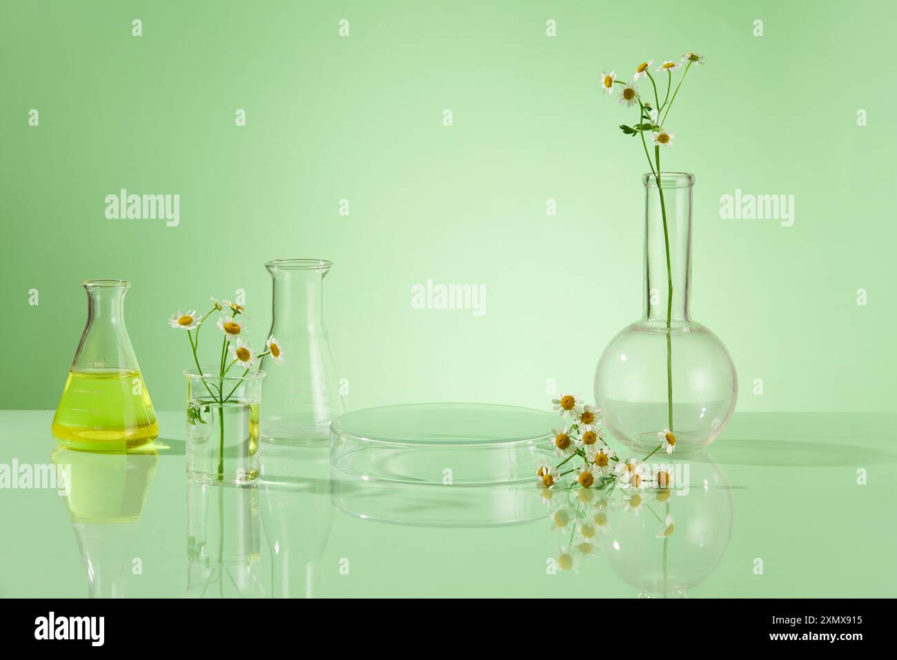 Front view of laboratory scene with boiling flask, erlenmeyer flask and ...