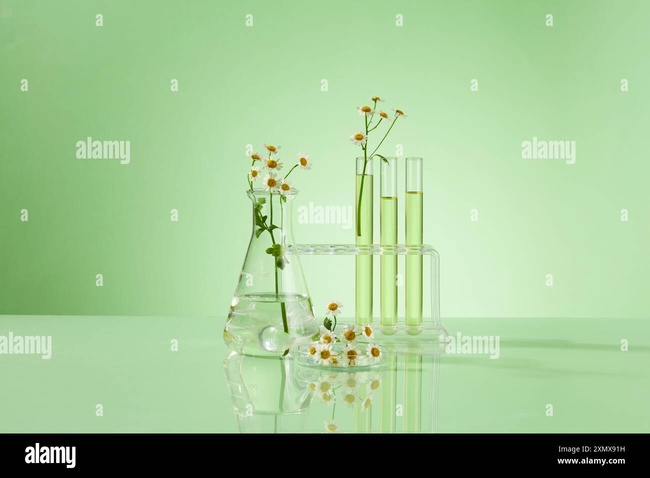 Pastel green background against transparent laboratory equipment ...