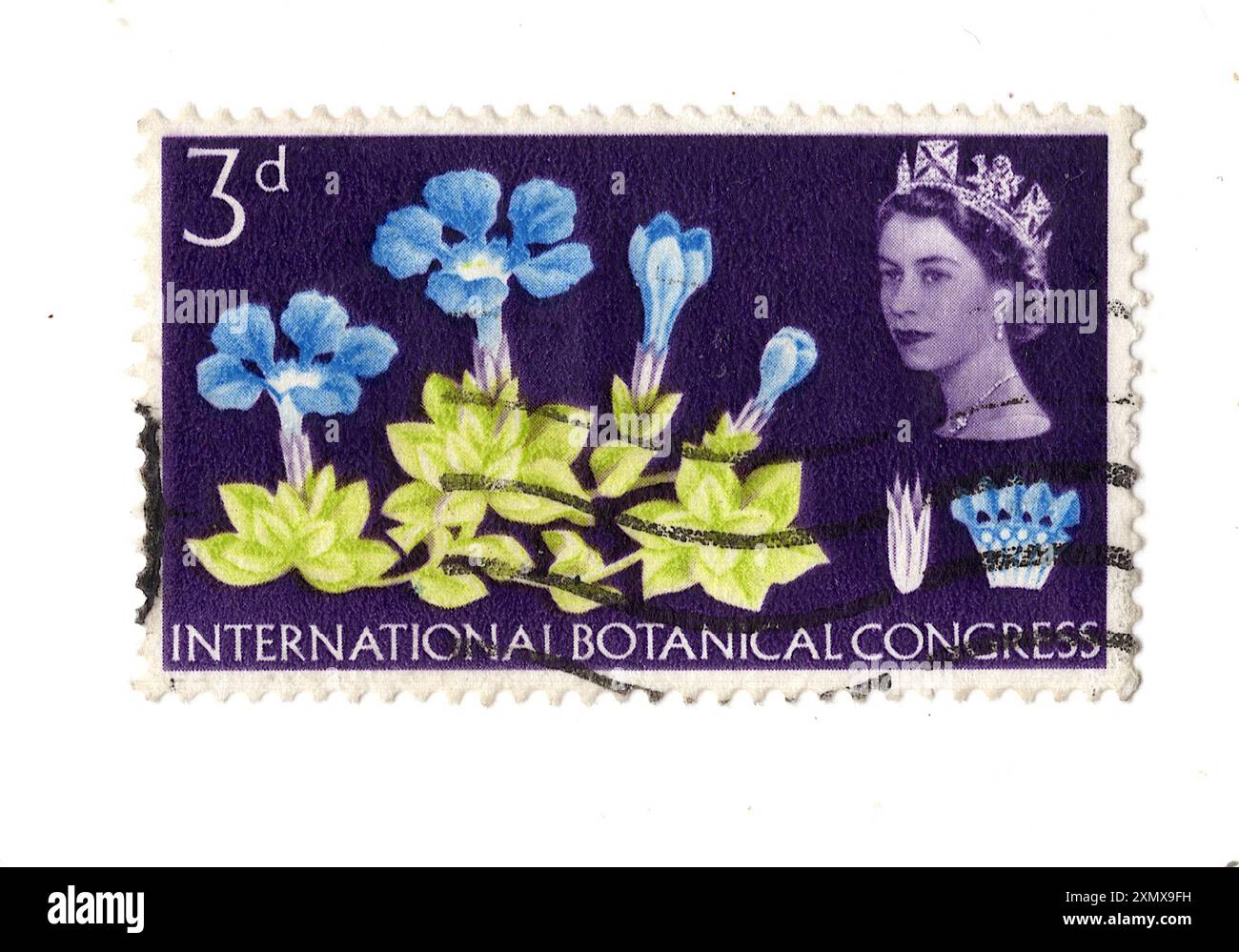 A vintage Queen Elizabeth II postage stamp featuring the International ...
