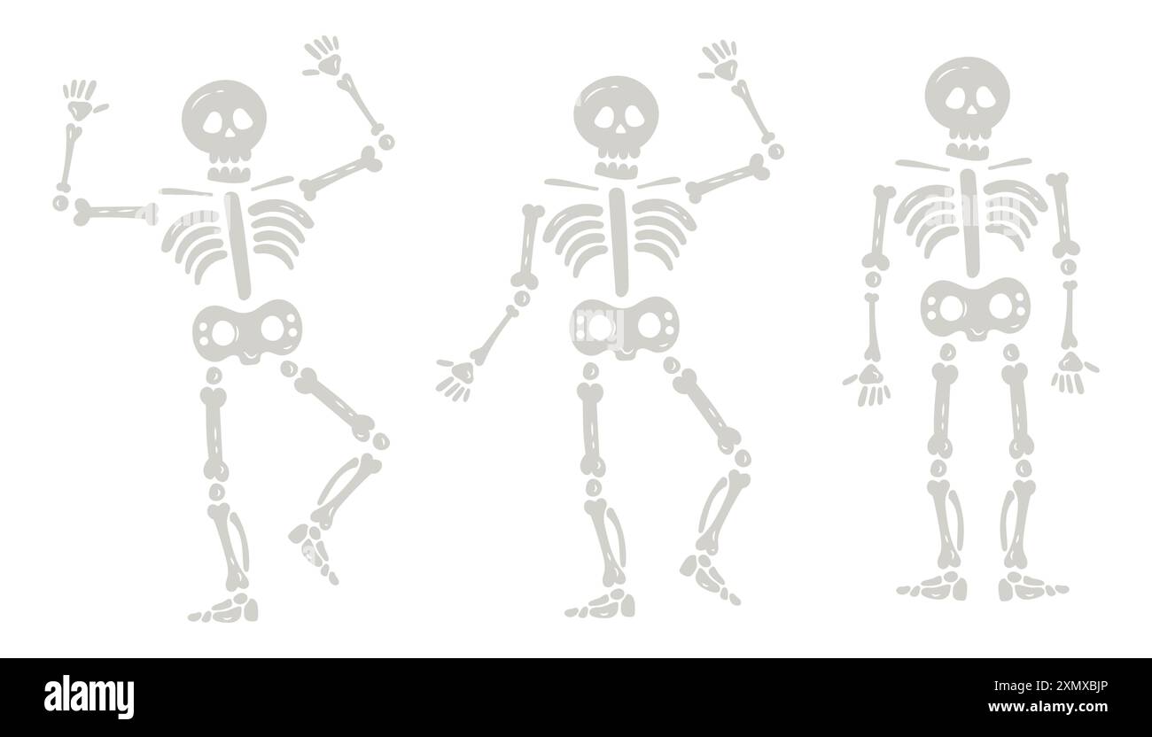 Halloween skeletons in various poses Stock Vector Image & Art - Alamy
