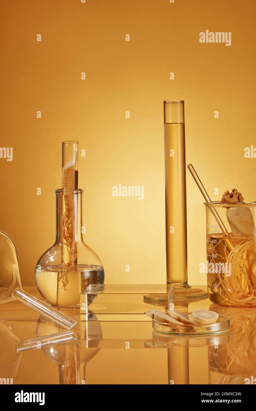 Yellow background photo with frontal shot has ginseng composition and ...