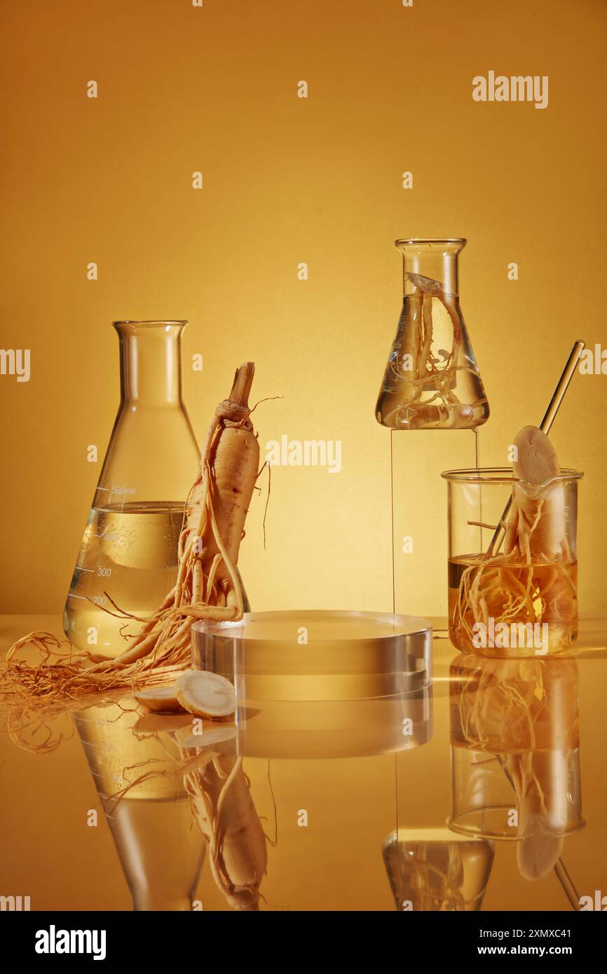 A glass showcase platform placed in middle with a fresh ginseng ...