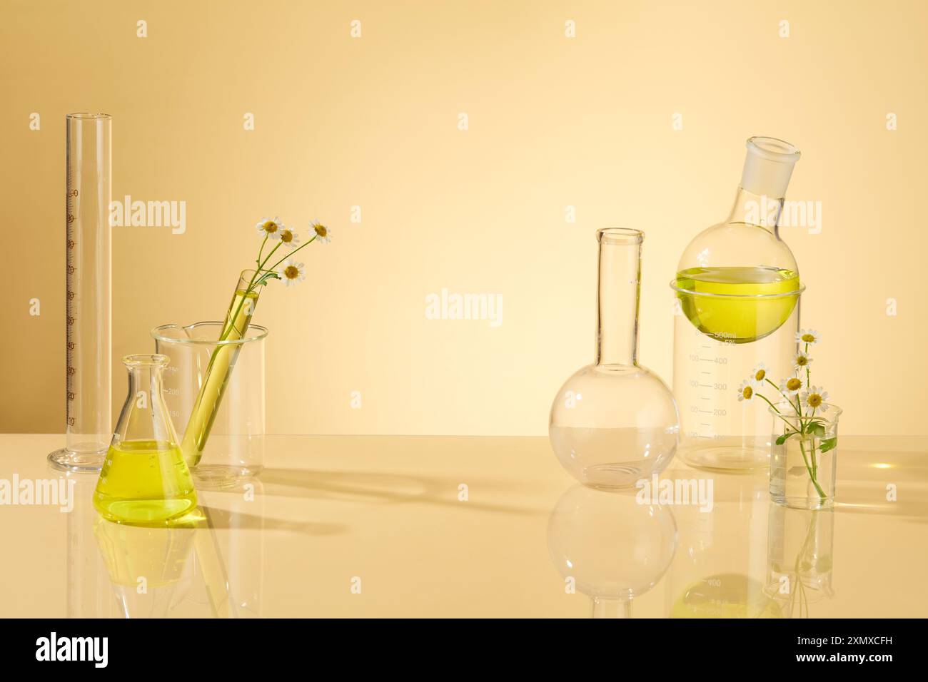 Laboratory concept with tall test tube, beaker, erlenmeyer flask with ...
