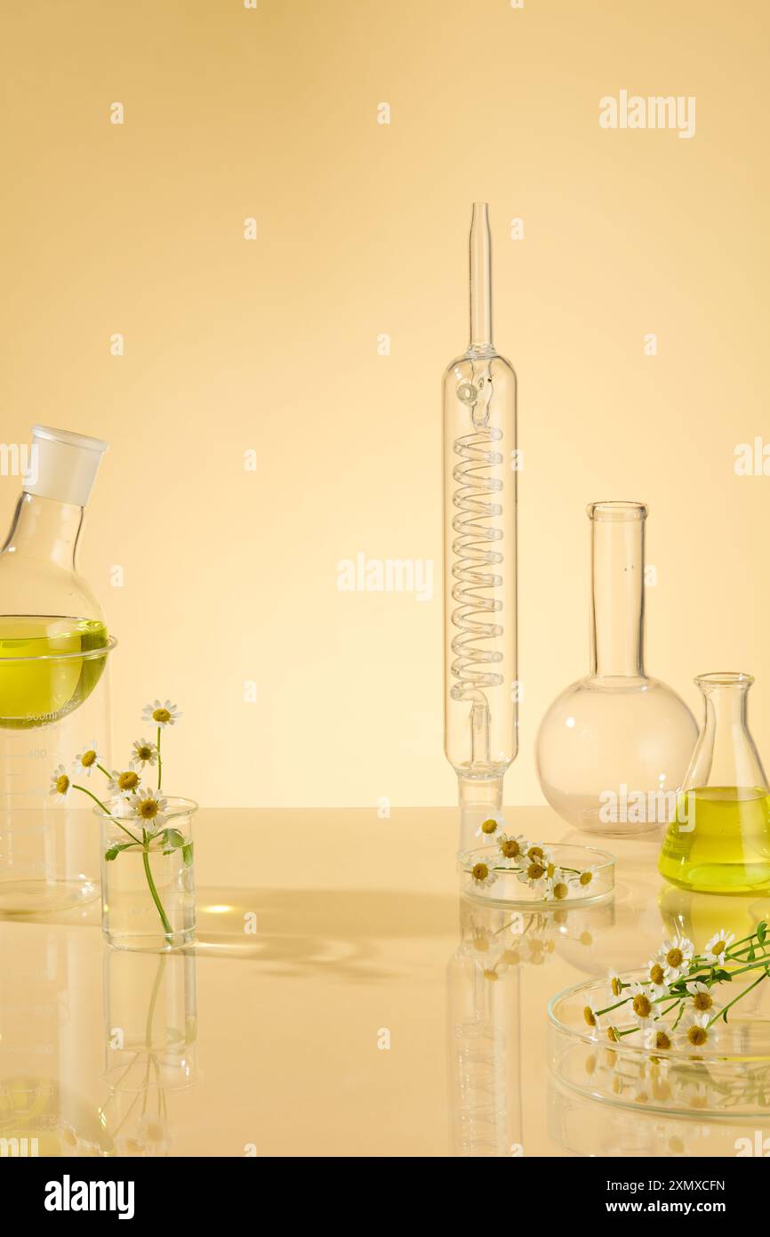 Transparent Spiral Reflux Condenser, boiling flask and erlenmeyer flask ...