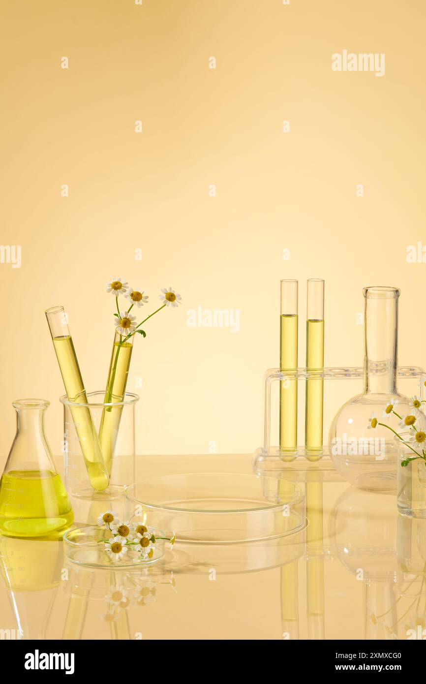 Transparent boiling flask, test tube and erlenmeyer flask with yellow ...