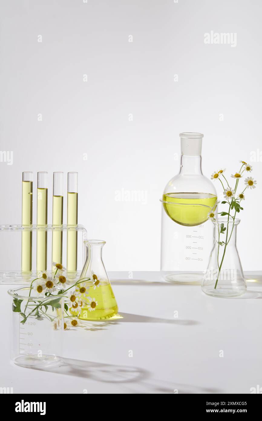 Laboratory flasks of daisy liquid extract, transparent glass and beaker ...