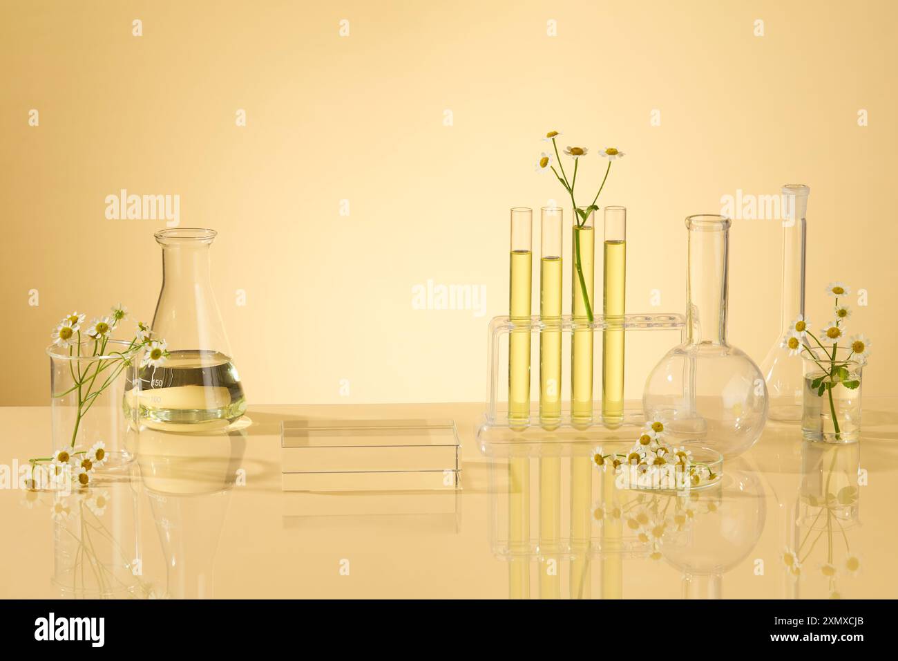 Stage showcase on pedestal to display product extracted from Daisy ...