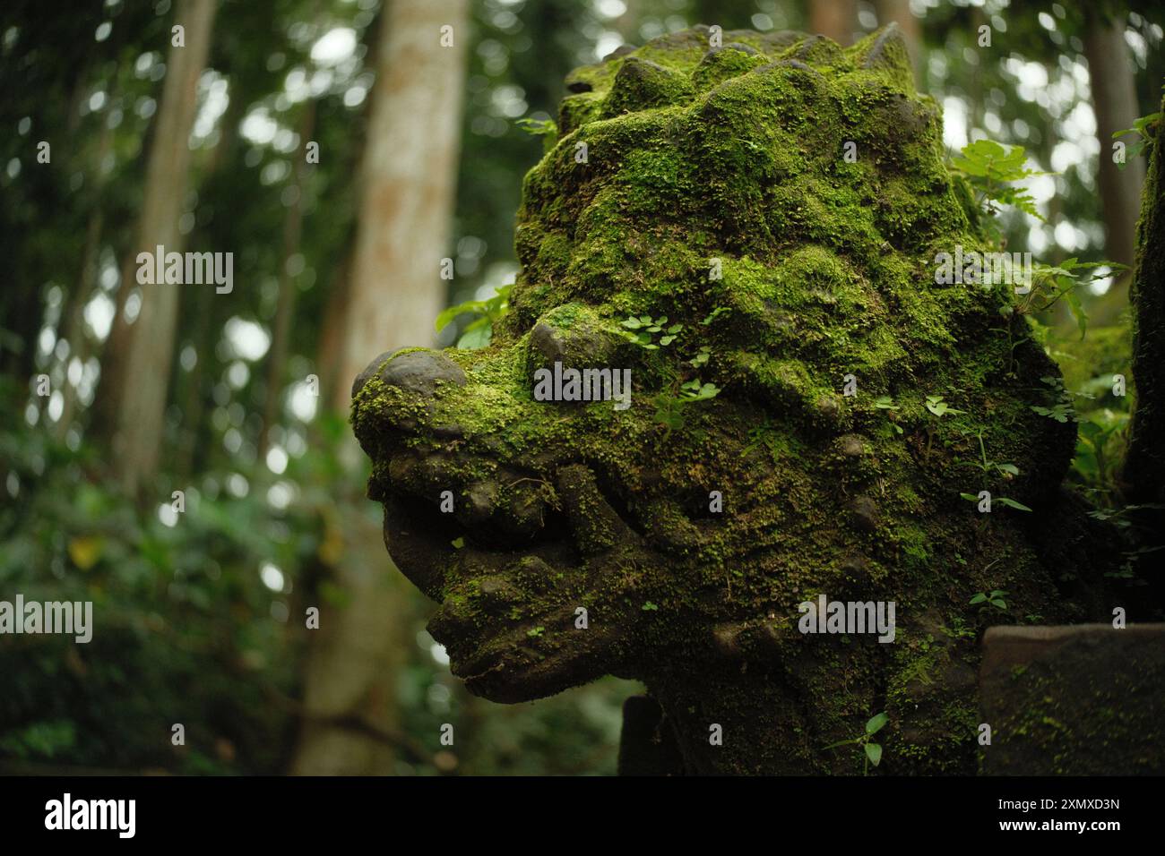 Historical religious artifact hi-res stock photography and images - Alamy