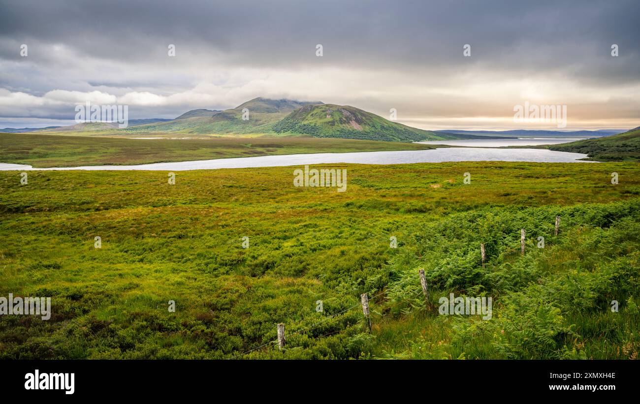 Sphagnum moss flow country scotland hi-res stock photography and images ...