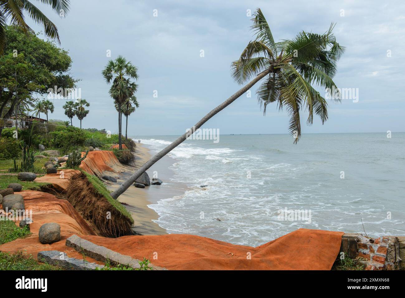 Auroville, India - July 2024 - Srima Beach and guest house are ...