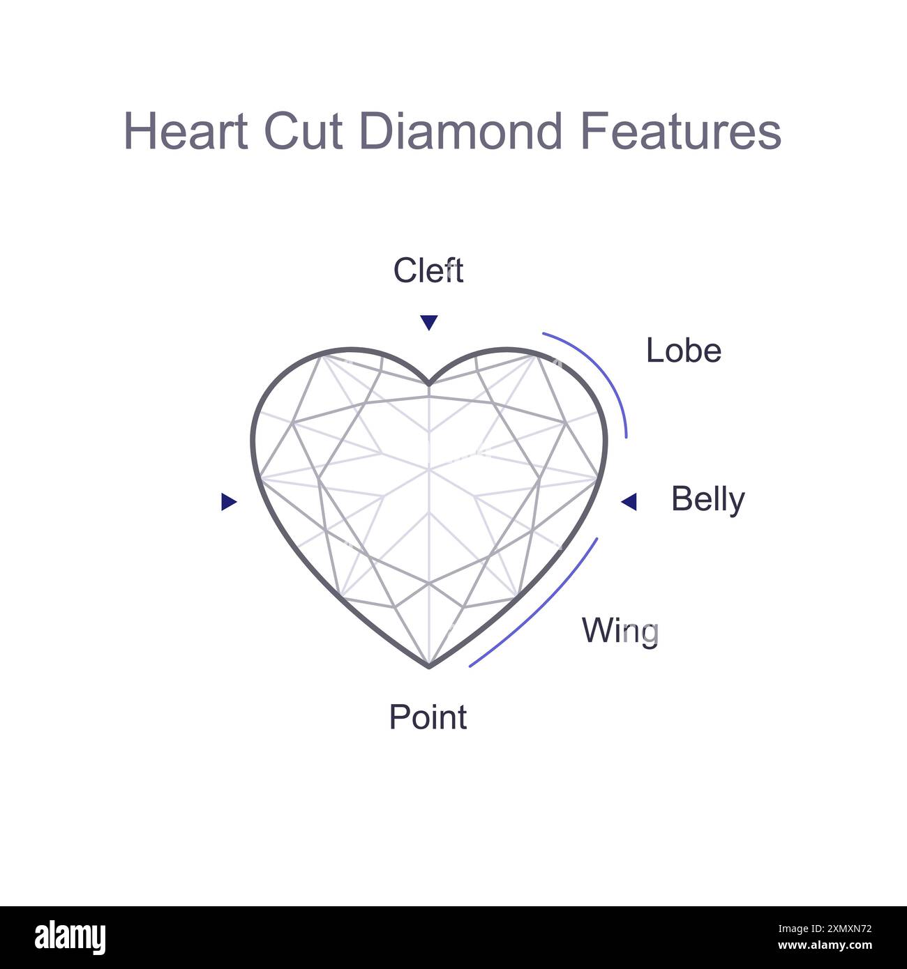 Heart shaped precious gemstone anatomy, parts and their names. Outline ...