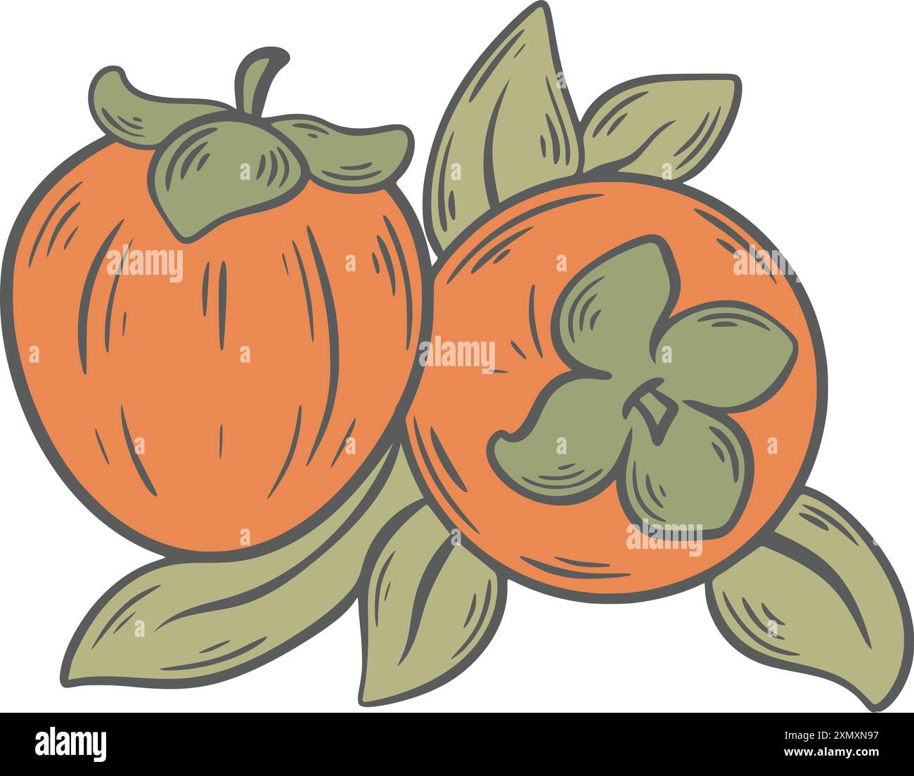 Fruit food source Stock Vector Images - Alamy